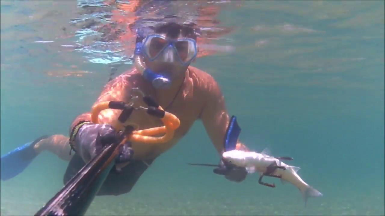 ΡΗΧΟ ΨΑΡΟΝΤΟΥΦΕΚΟ ΜΕ ΤΕΤΡΑΙΝΑ \ spearfishing - YouTube