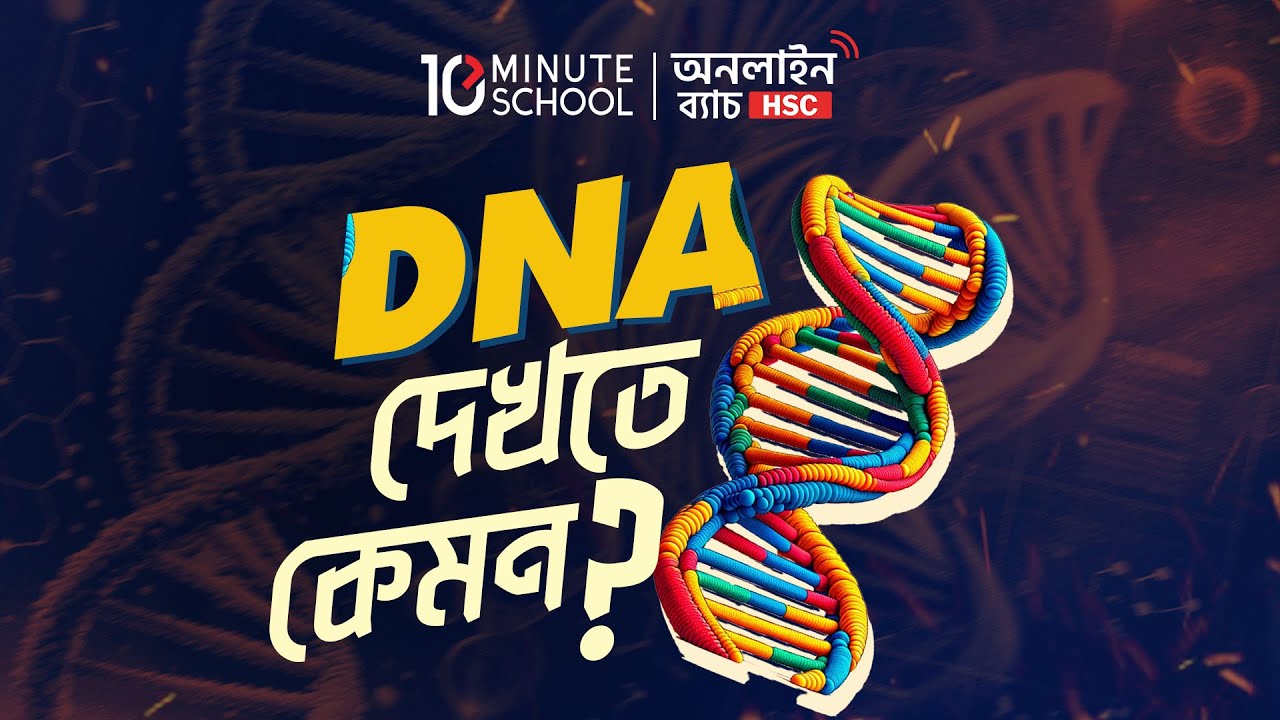 ডিএনএ- এর রাসায়নিক গঠন (Chemical Structure of DNA) | DNA | HSC 25 Online Batch - YouTube