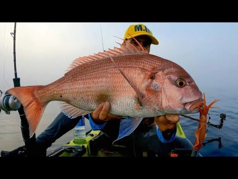 Jigging con prototipo Calamar MMLures & Sama Pluma - YouTube