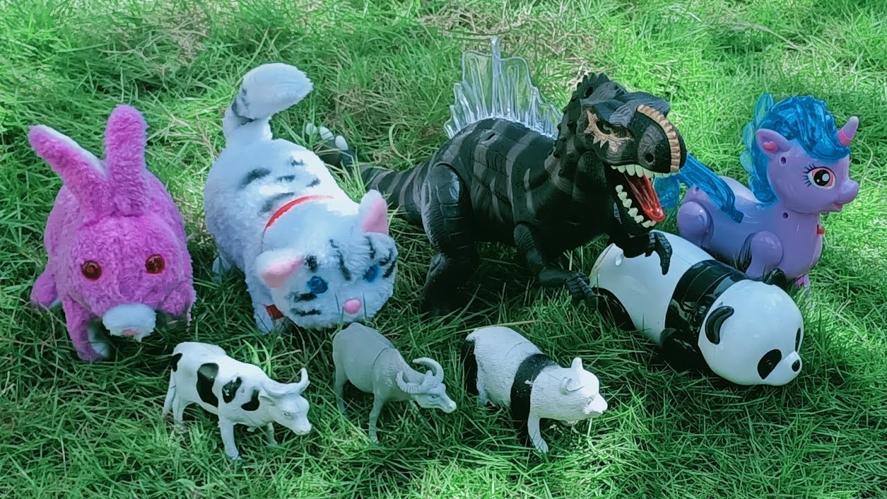 Mencari Mainan Dinosaurus Hidup, Kuda Poni, Kelinci, Kucing Anggora ...