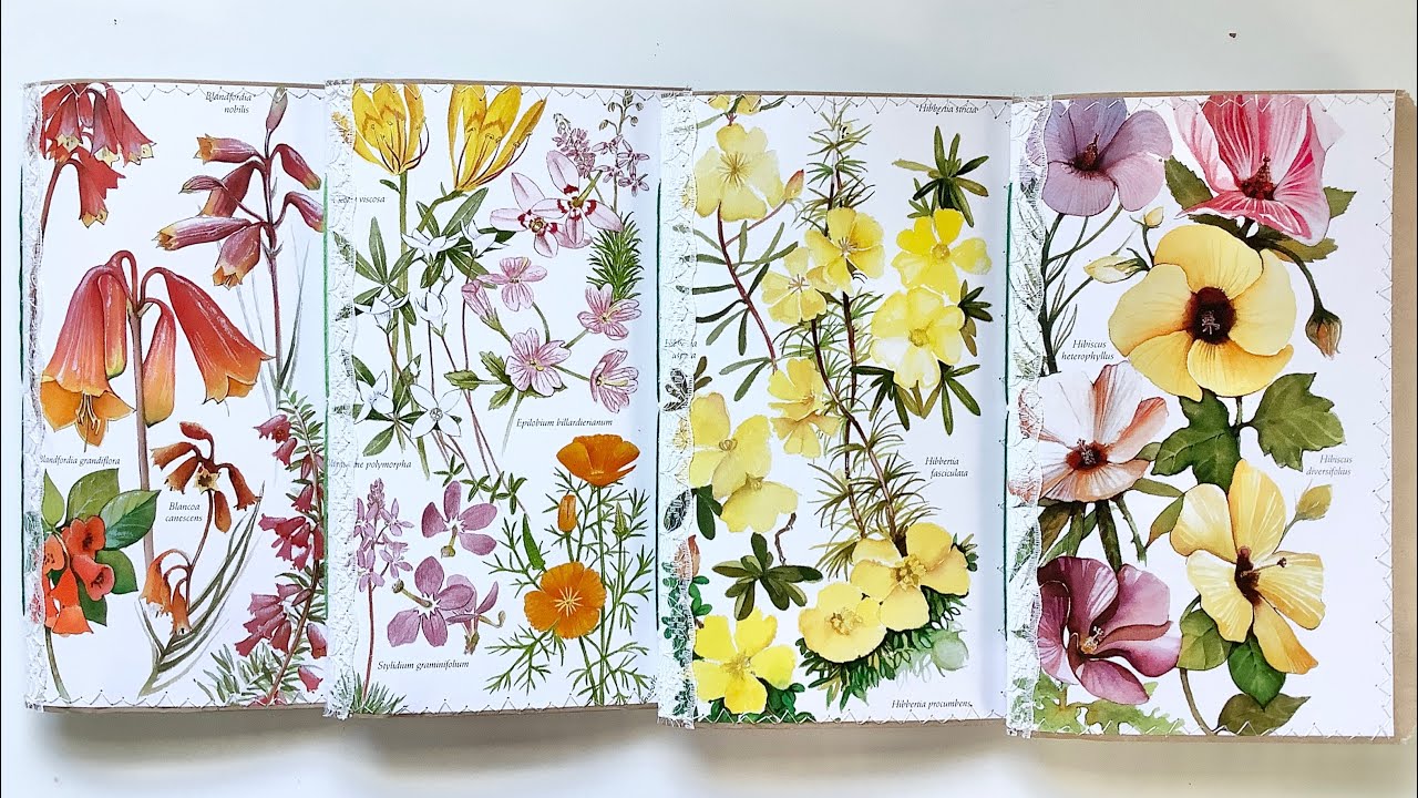 Botanical journal collection: 10 junk journals flip through - YouTube