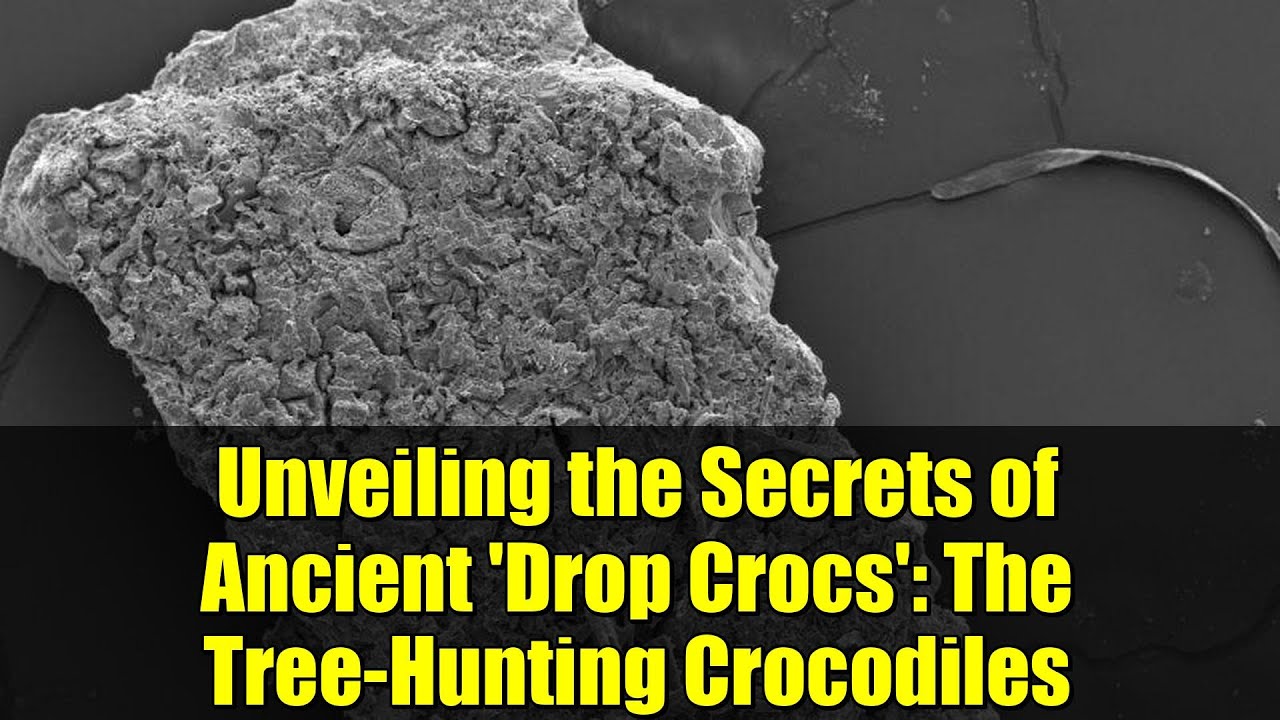 Unveiling the Secrets of Ancient 'Drop Crocs': The Tree-Hunting ...