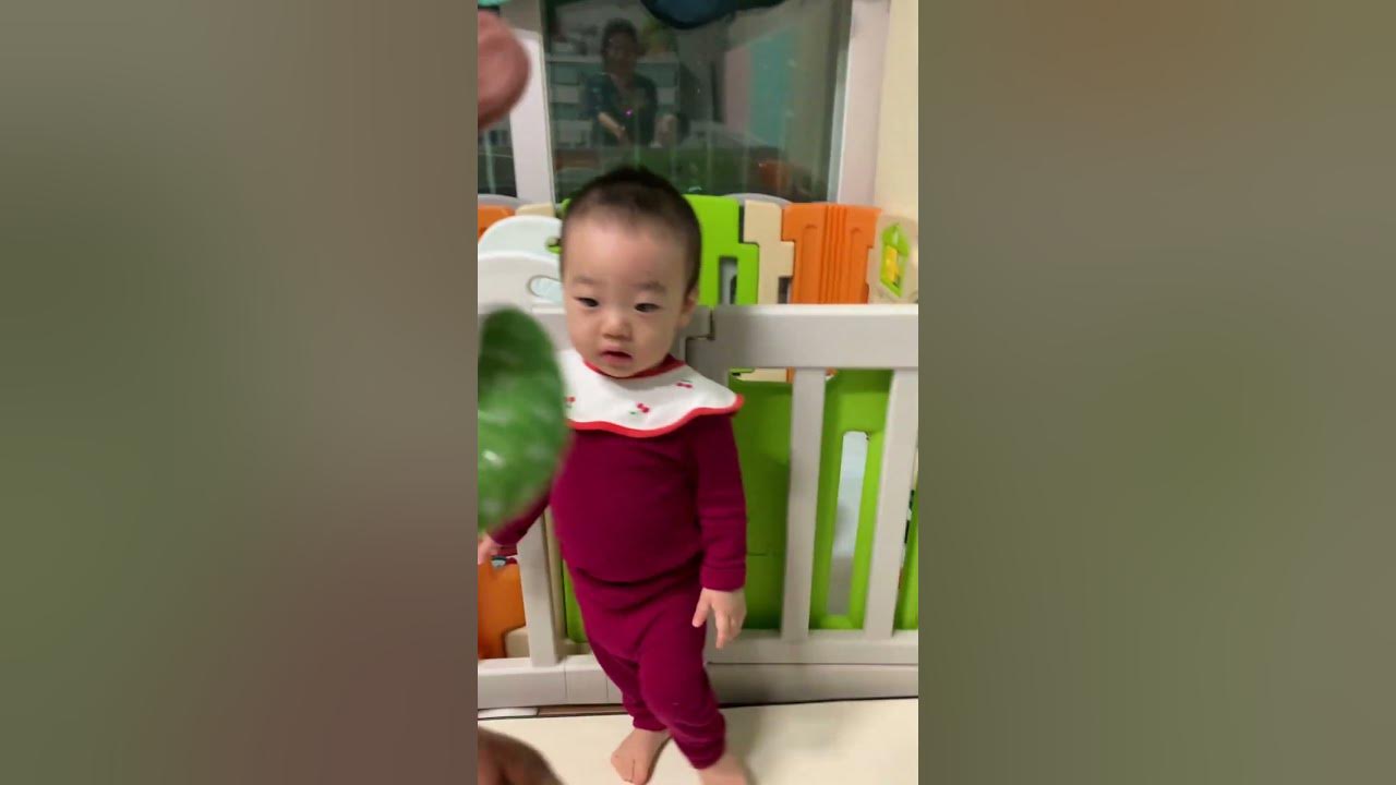 더 이상 피할 곳이 없는 삼둥이 Ft 공포의 선인장 Shorts Youtube