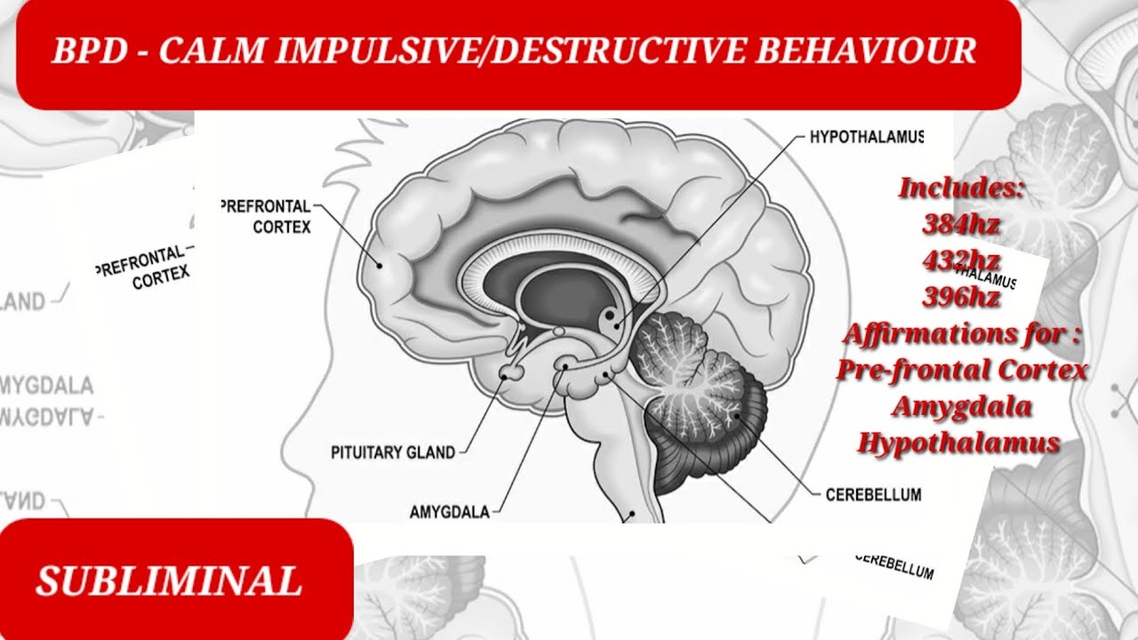 IMPULSIVE/DESTRUCTIVE BEHAVIOUR BPD.SUBLIMINAL.BRAIN NEURO HEALING 🧠 ...