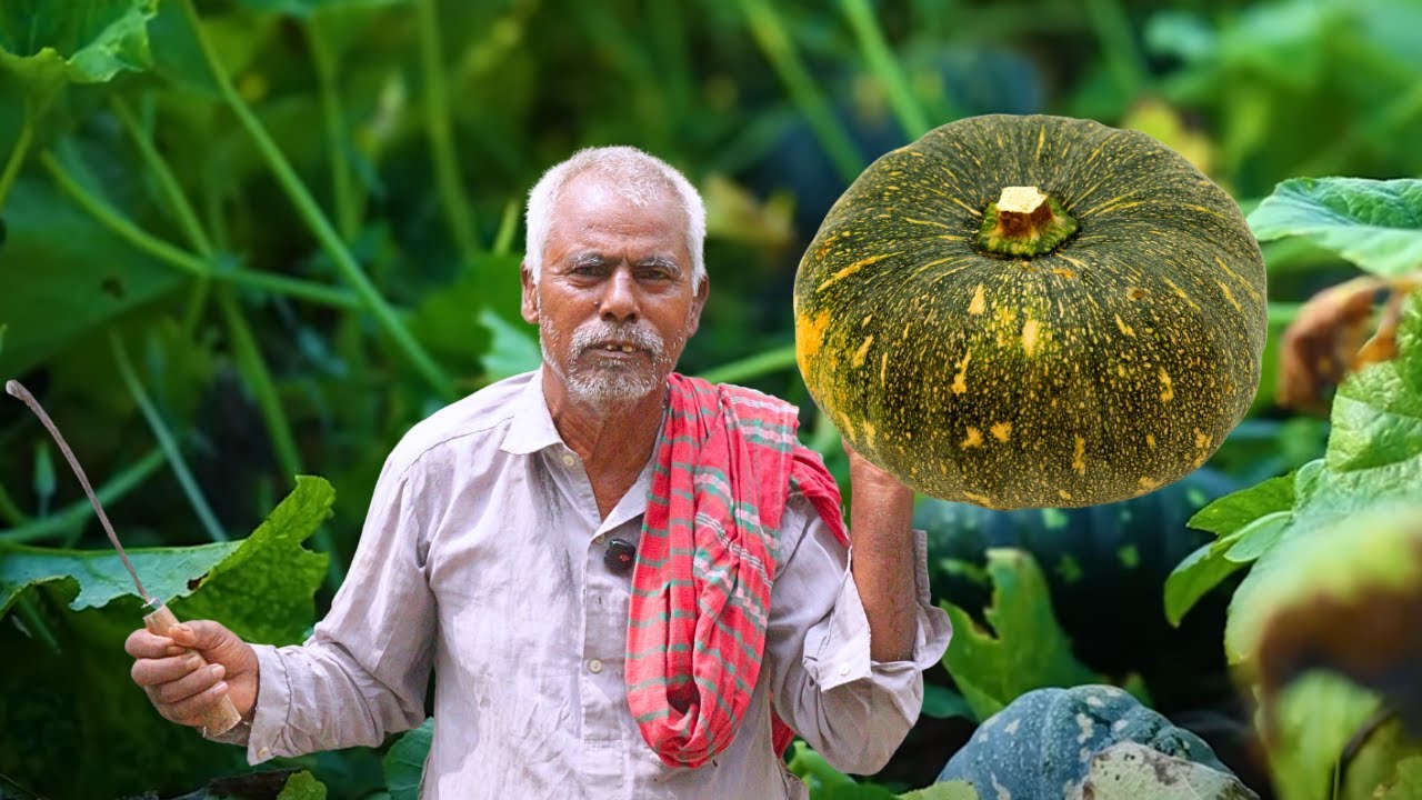 Traditional Village Style Pumpkin Curry | Kumra Ranna in Clay Stove ...