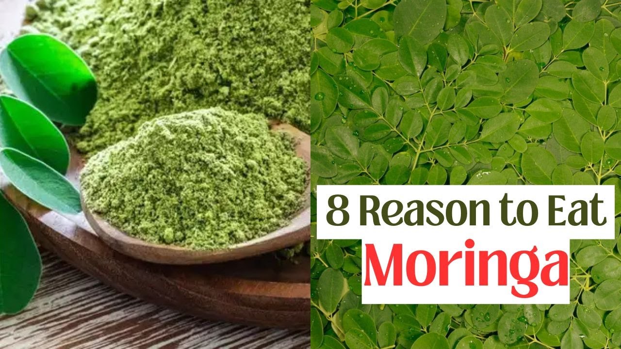 8 Benefits of Consuming Moringa | The Wellness Place - YouTube