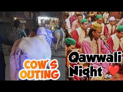 Cow ko ghumane gaye ️/ Qawwali Night at Lato Muhalla !! - YouTube