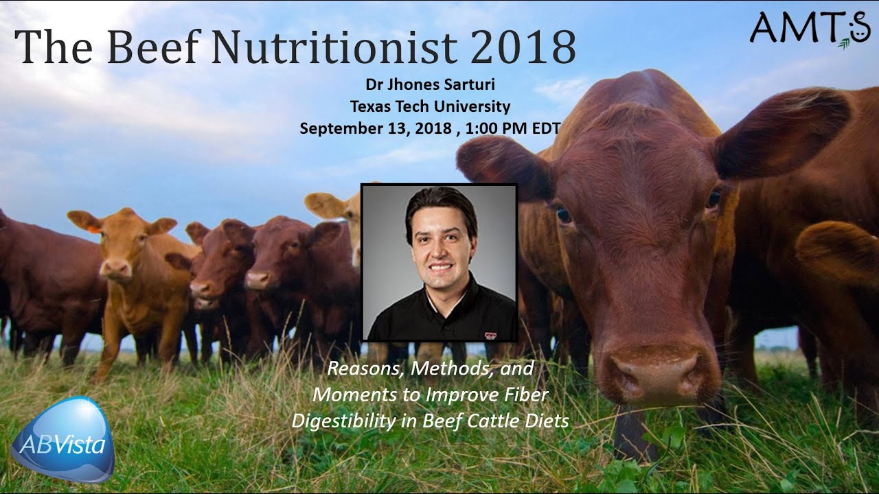 Beef Nutritionist September Sarturi - YouTube