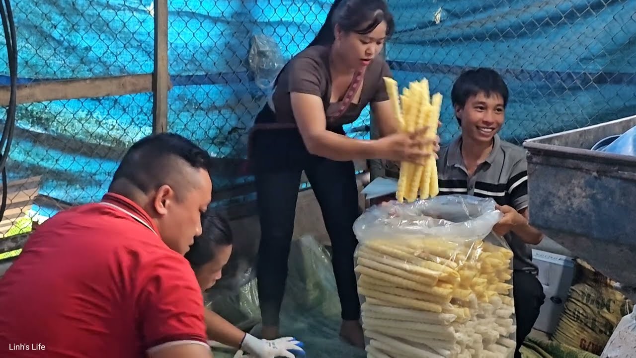 How to make rolled popcorn, Sell popcorn || Linh's Life - YouTube