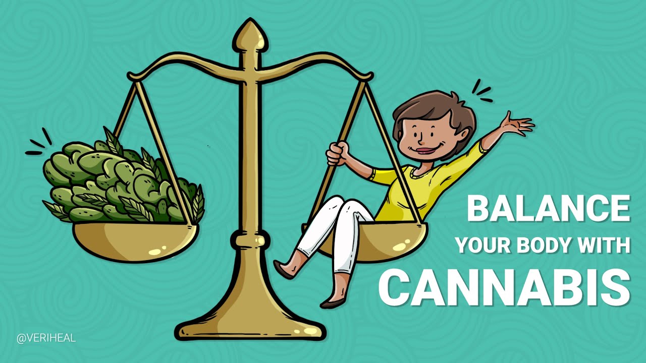 How Does Cannabis Help the Body Maintain Homeostasis? - YouTube
