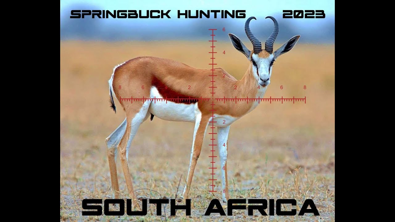 Springbuck hunting in South Africa - YouTube