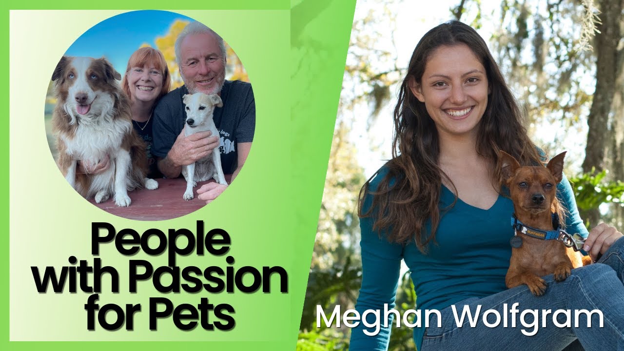 SwiftPaws Home Lure Course with Meghan Wolfgram - YouTube