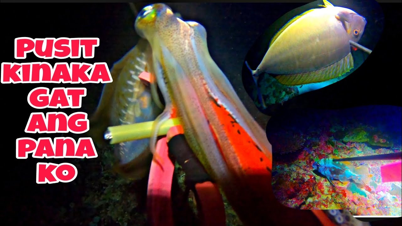 Ep37: Magagandang klase ng isda ang nsa BAHURA na ito - YouTube