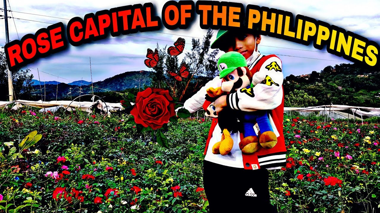 A GLIMPSE OF THE ROSE CAPITAL OF THE PHILIPPINES.. BAHONG, LA TRINIDAD ...