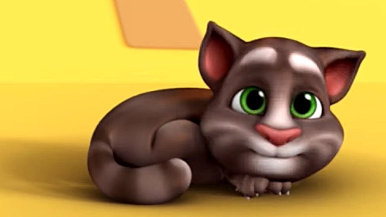 Talking Tom 🔴 All episodes in a row - YouTube
