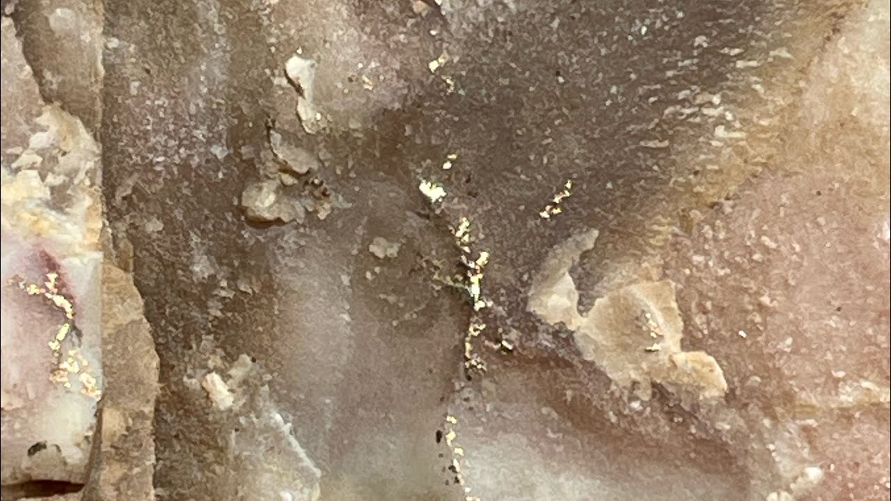 Is there gold in petrified wood? Bizarre. It really doesn’t make sense ...