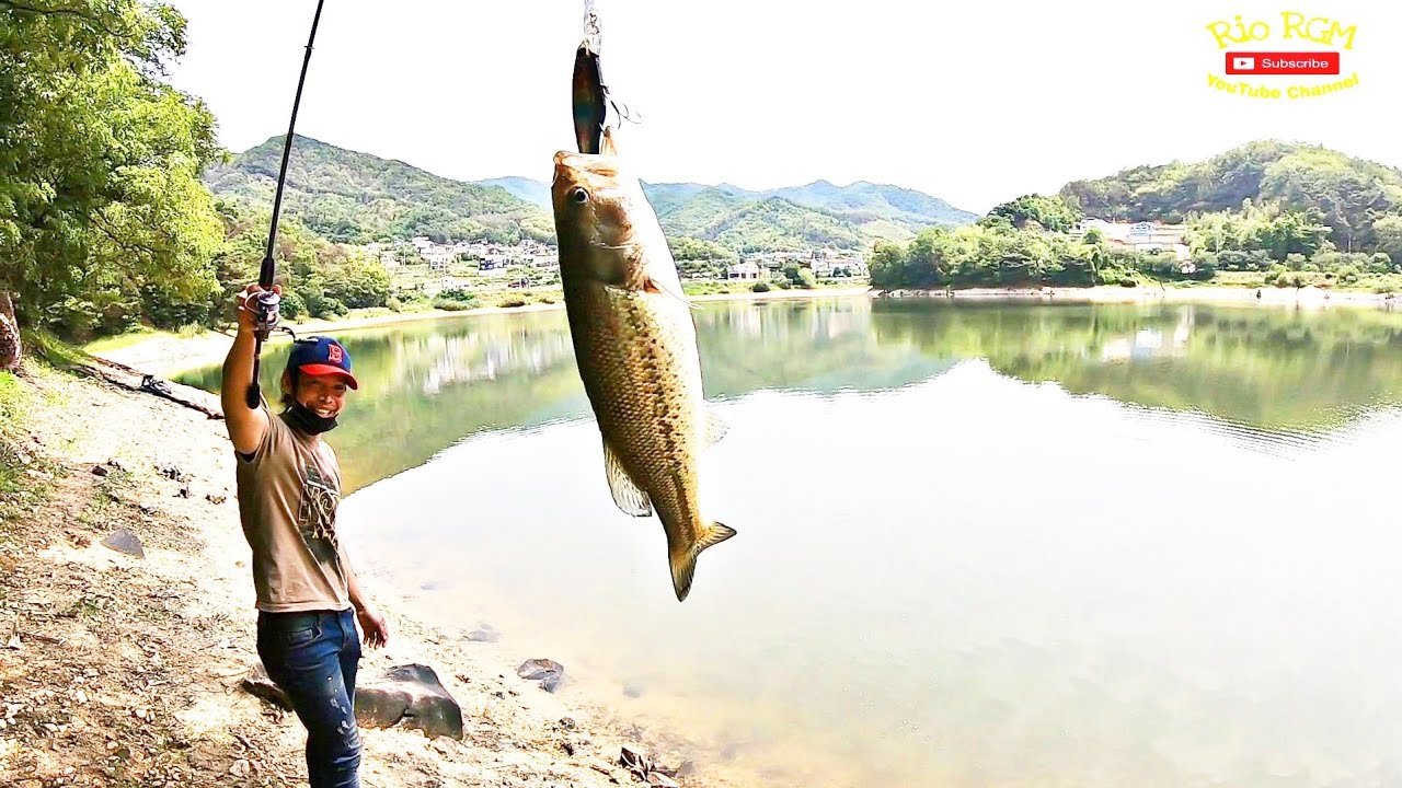 mancing ikan di danau tersembunyi surga bagi ikan bandeng - YouTube