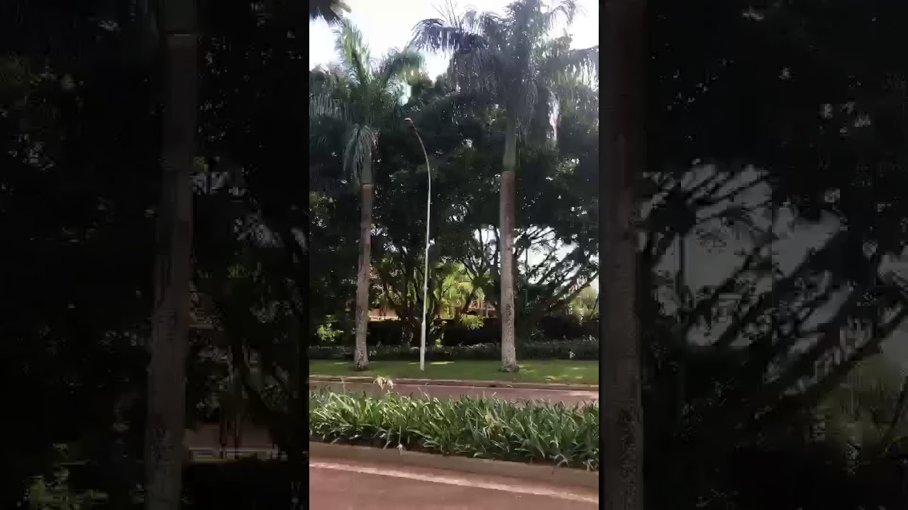 Miyonya beach 🏝 - YouTube