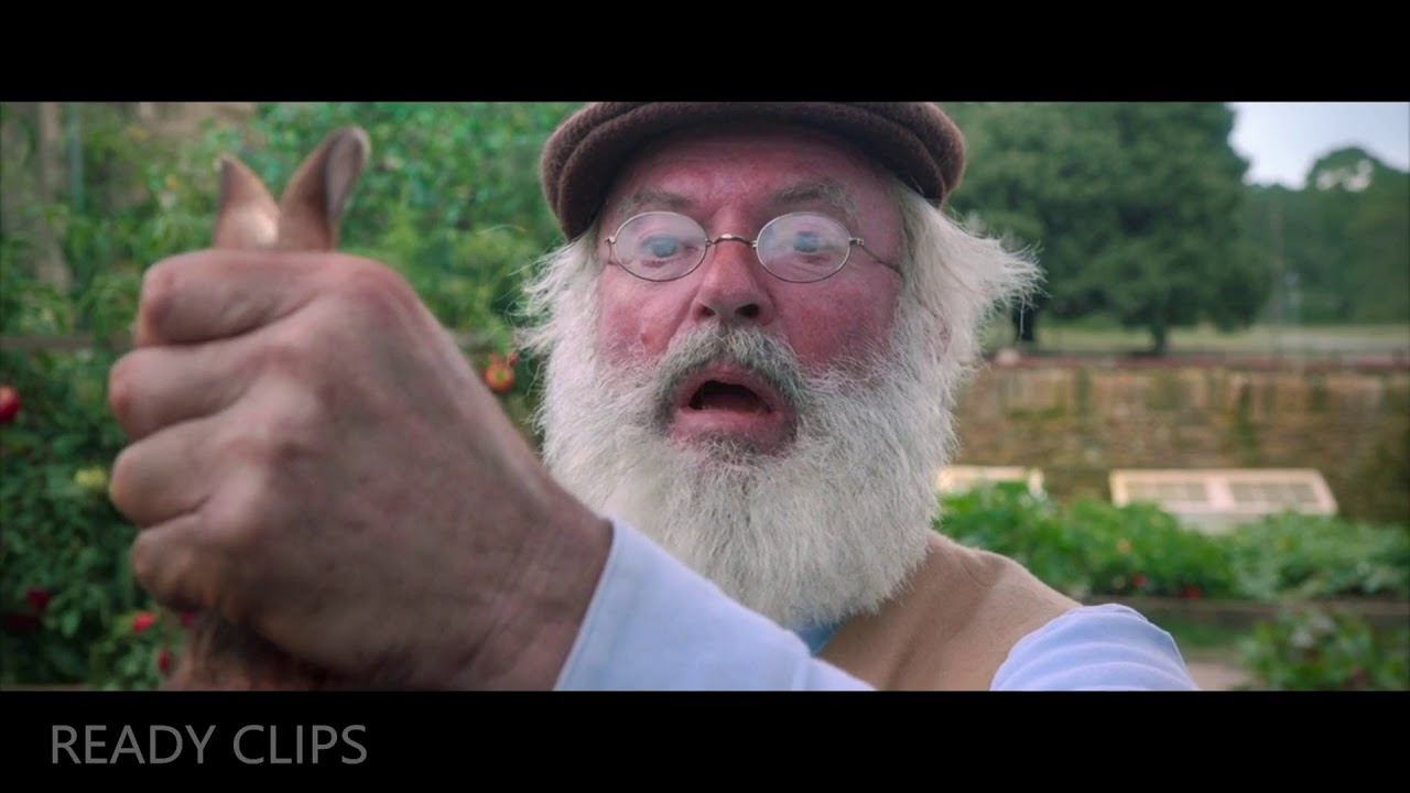 Peter Rabbit - Peter Got Caught Scene HD 1080i - YouTube