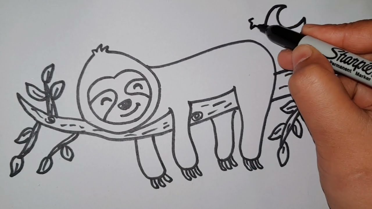 How to draw a cute sloth | easy drawing for kids | step by step for ...