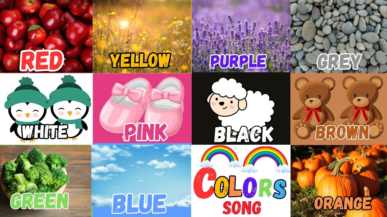 We Love all the Colors! | Learn Colors Song for Toddlers & Kids | Red ...