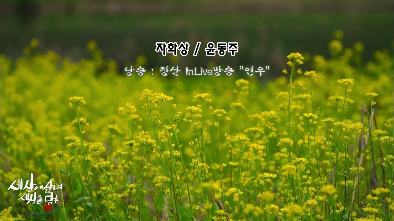 자화상 윤동주 Youtube