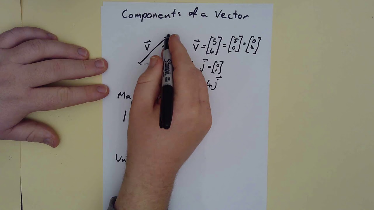 Components of a vector - YouTube