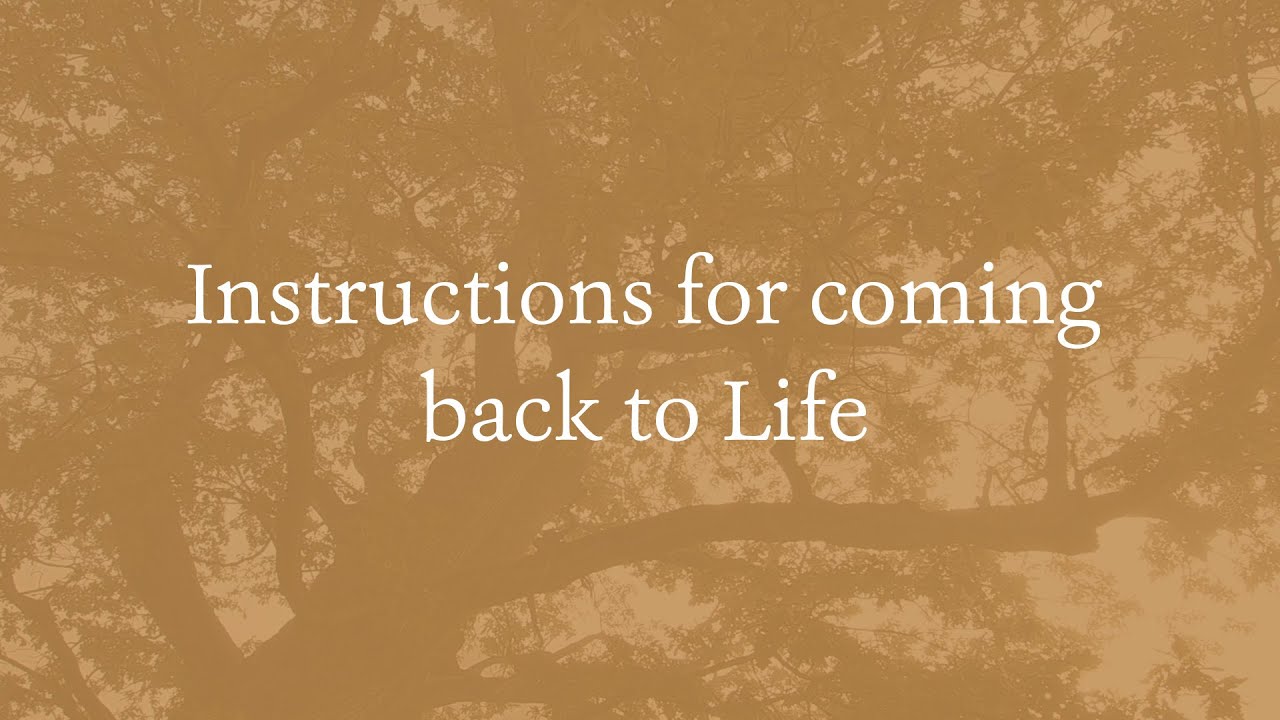 Instructions for coming back to Life (pdf file) - YouTube