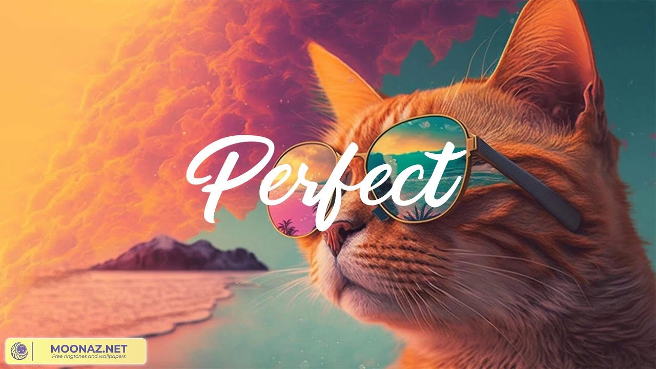 Perfect, Like I'm Gonna Lose You, When I Was Your Man - Ed Sheeran ...