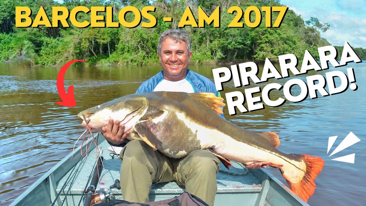 Pescaria Barcelos-AM em 2017-Tucunarés e uma Pirarara recorde. - YouTube