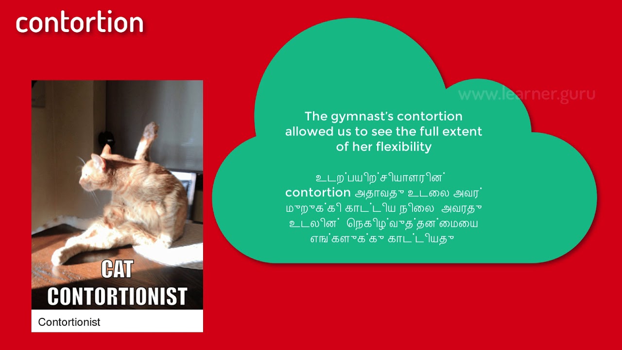 Contortion Meaning