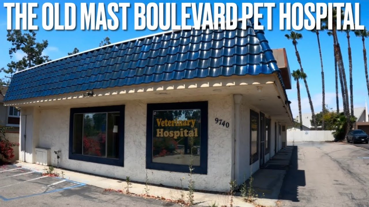 The Old Mast Boulevard Pet Hospital - YouTube