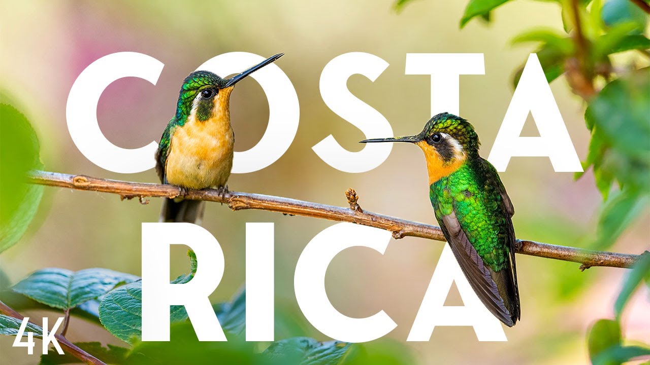 Immersive Costa Rica Experience in 4K - YouTube