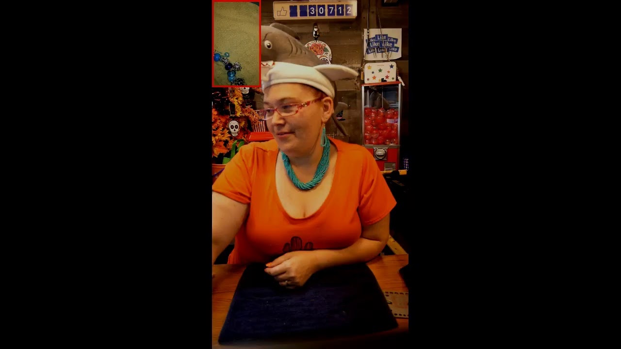 MK PURSE IN THE HOUSE!!! TUESDAY MORNING WITH LISA & JENN!!! VID 2 10/ ...