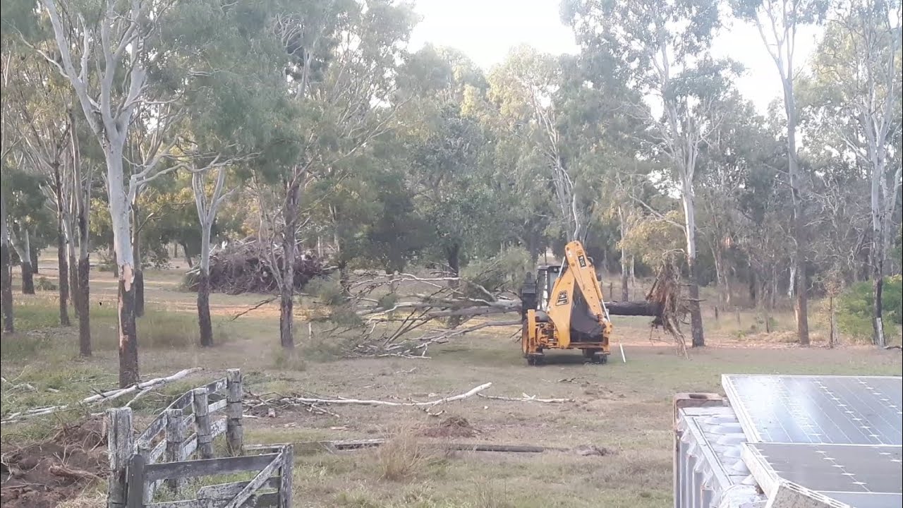 Tree Removal 'The Fast Way'. Its Safe & Sustainable. No Poison. Mother ...