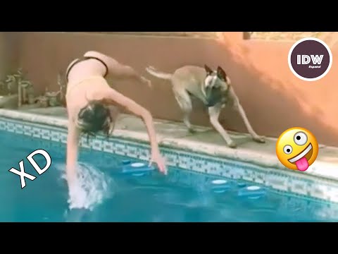 SI TE RÍES PIERDES NIVEL DIOS #200 🤣 VIDEOS DE RISA MUY GRACIOSOS 2025😆