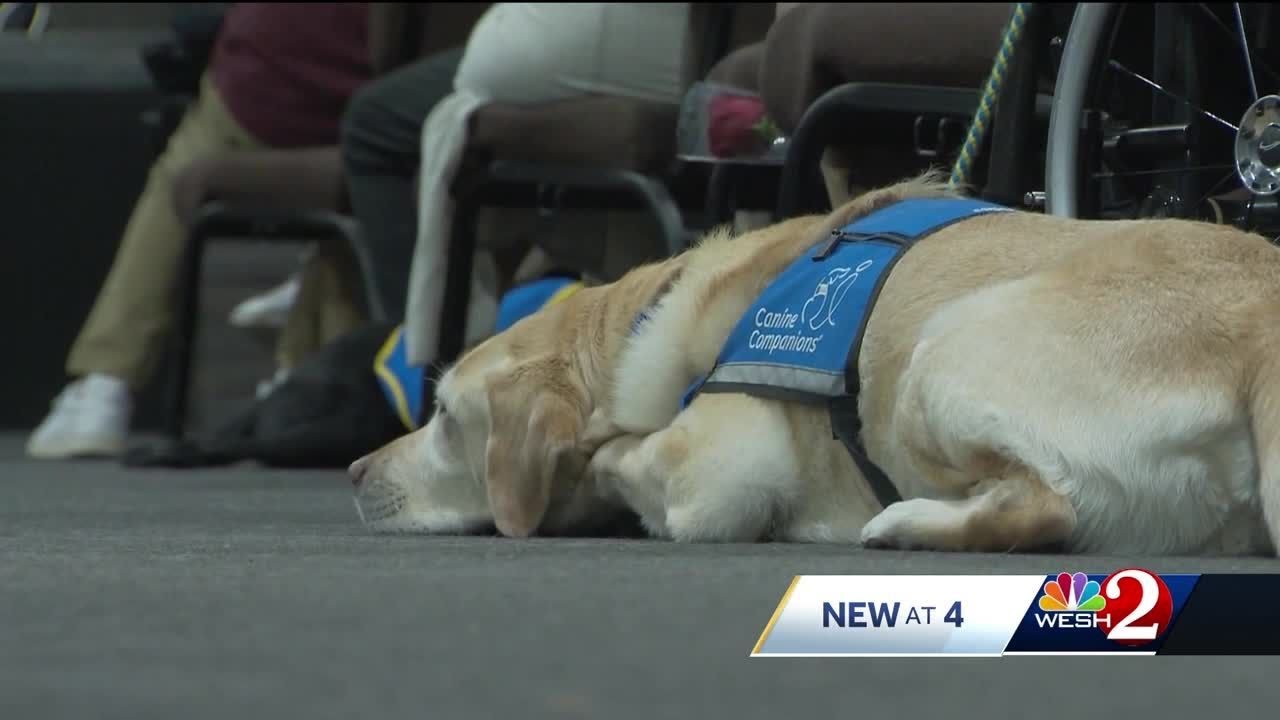 Canine Companions hosts graduation for service dogs - YouTube