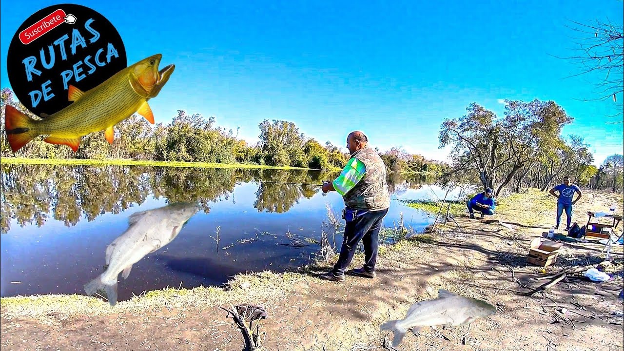 RIO MUERTO 🐟🎣 Bagres ENORMES!! Pesca, Cocina y Aventura. ROGELIO ...