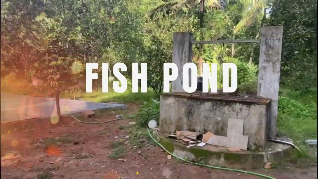 Farm preparation-2 . . . Guruprasadam Farm house and Fish Pond Preparation 2 - YouTube