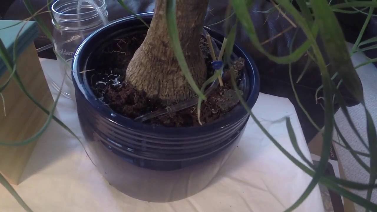 DIY Simple Water Box - YouTube