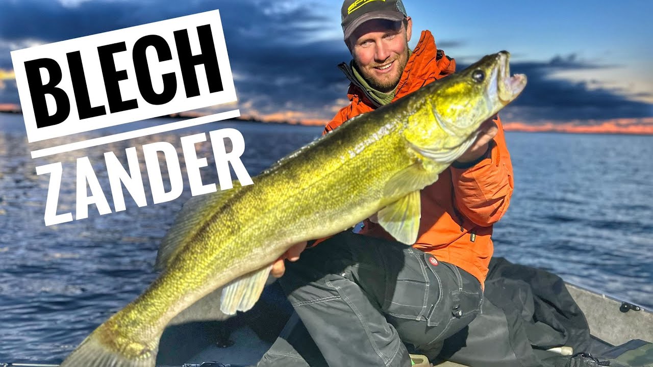 Blech Zander - YouTube