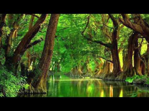 Epictetus - Discourses: On Cynicism - YouTube