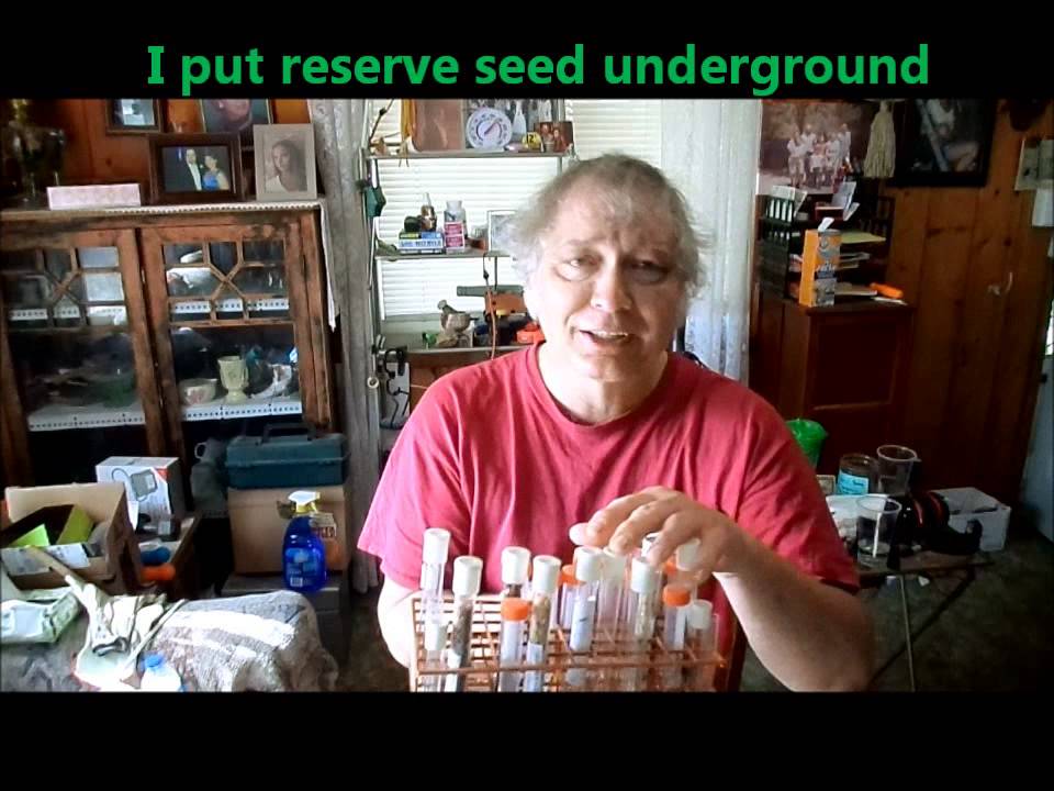 Bury Money in your Garden Bank - YouTube