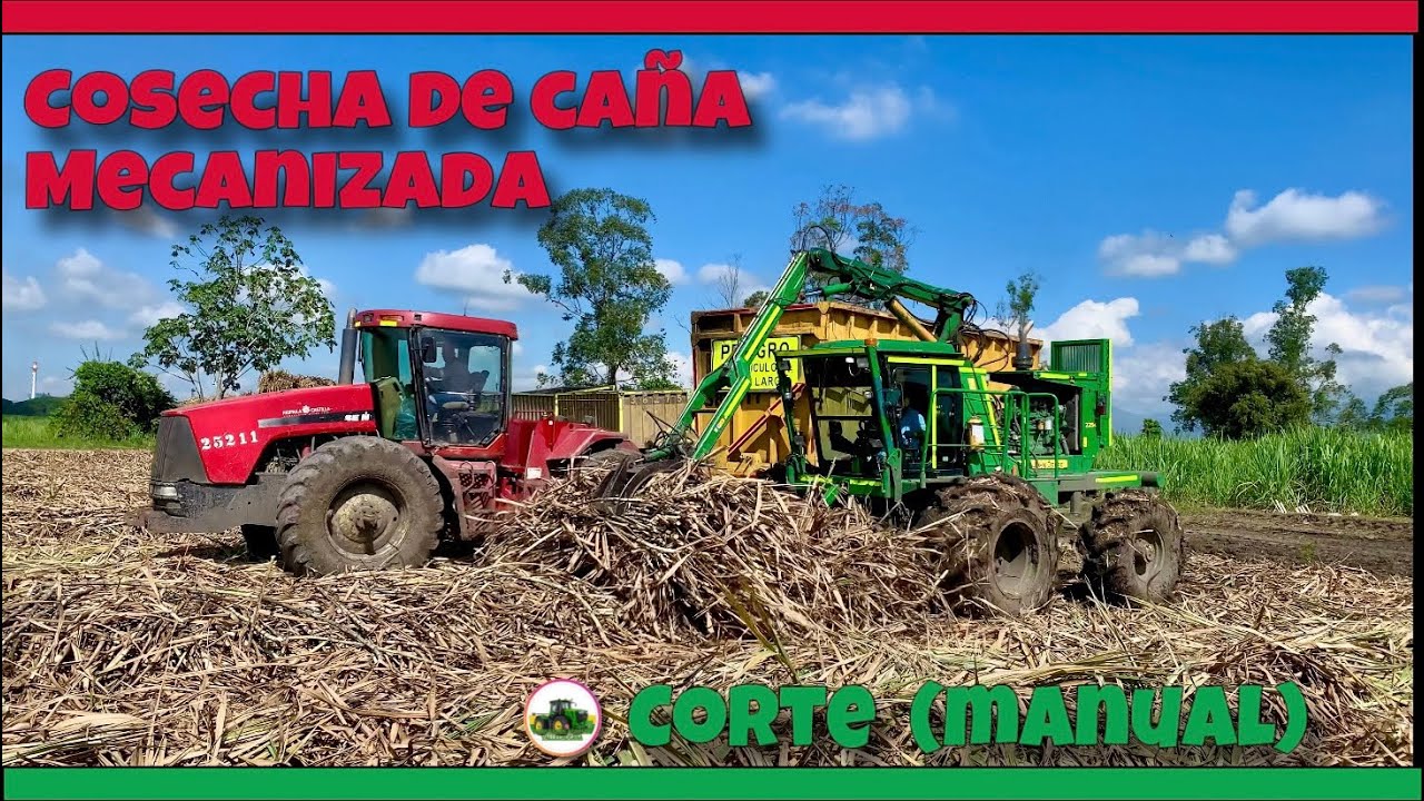 Cosecha de caña mecanizada en corte manual - YouTube