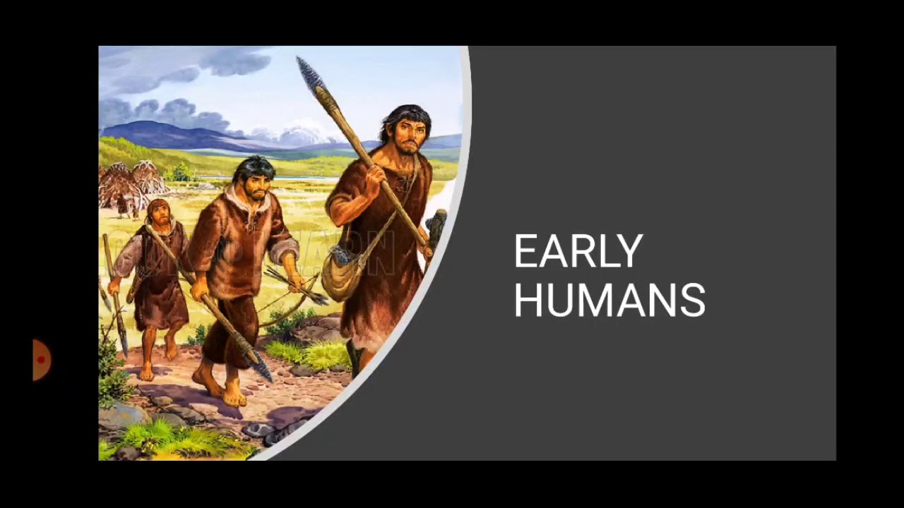 Social science Early Humans Notes - YouTube