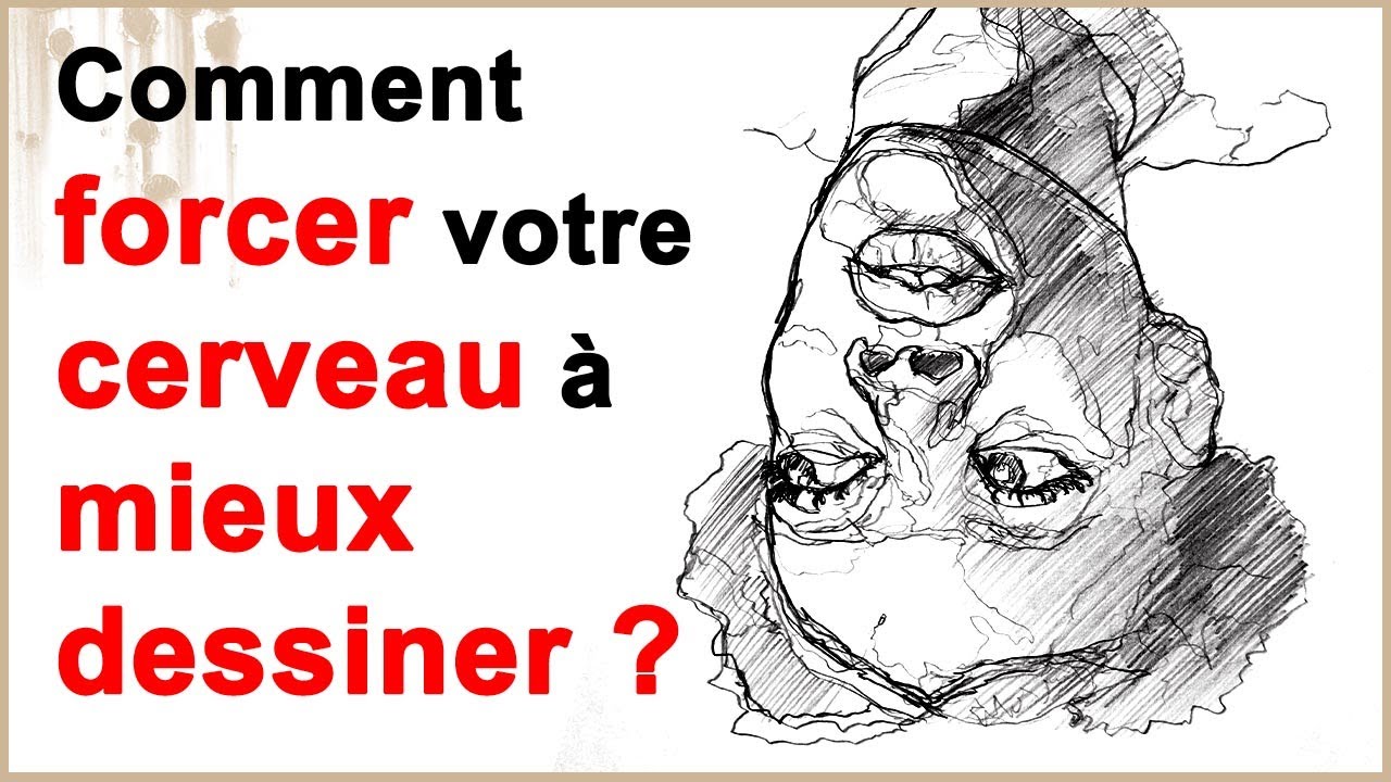 COURS de DESSIN : un exercice très puissant pour progresser maintenant ...
