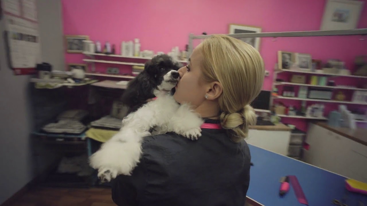 BT: 4G Assure (2018) - YouTube