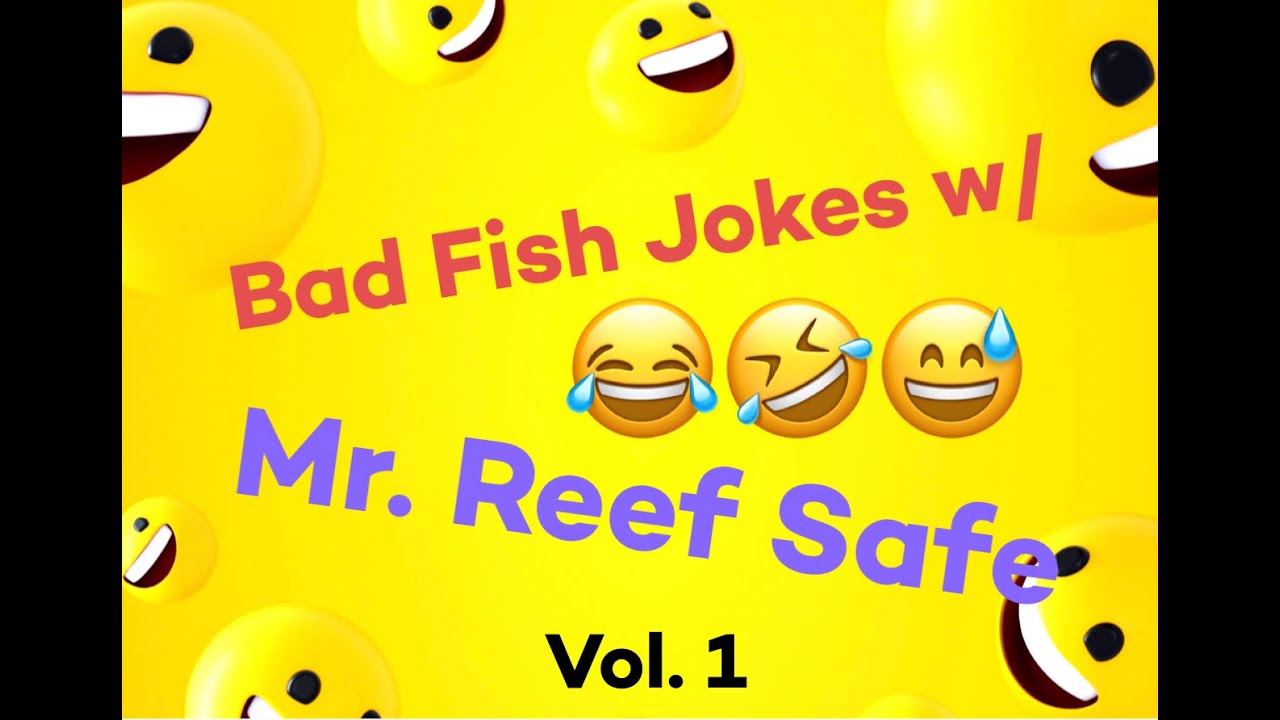 MRS. REEF SAFE REACTS TO MR. REEF SAFE'S BAD FISH JOKES - YouTube