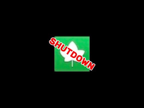 The Ivy Shutdown (What Happened?)