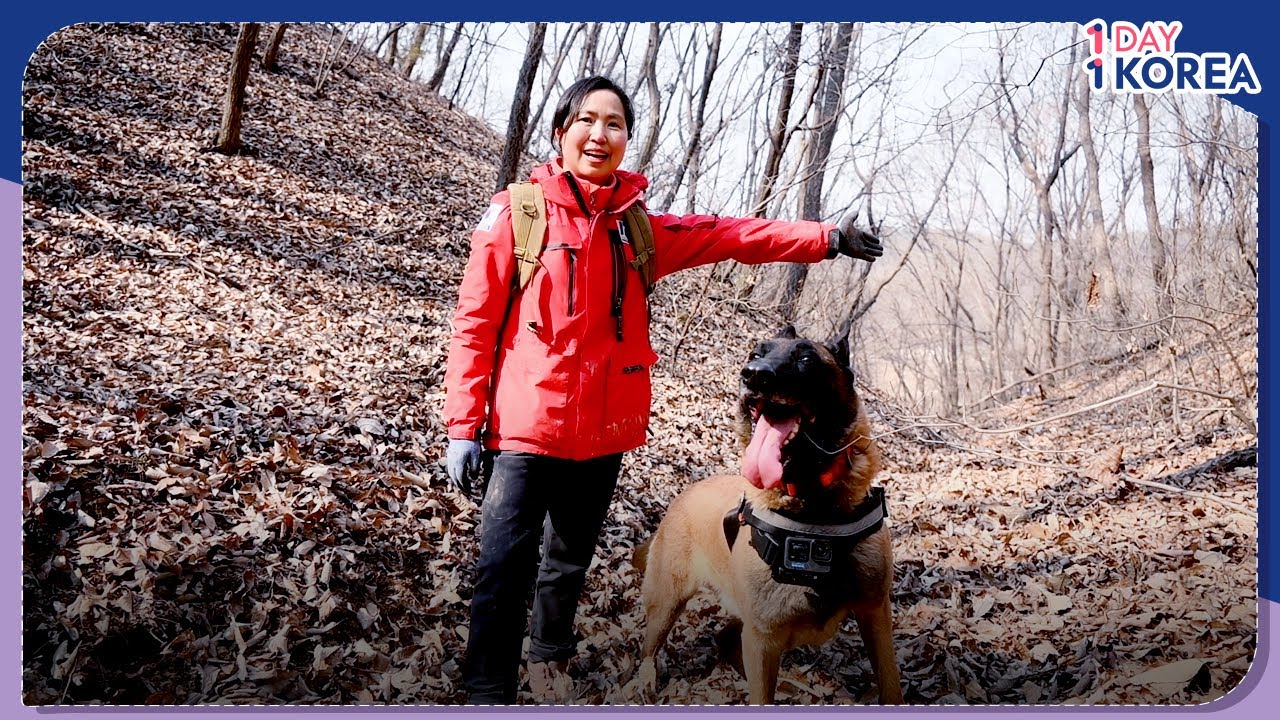 [1DAY 1KOREA: K-NOW] Ep.23 Korean Rescue Dogs, the Heroes in Turkiye ...